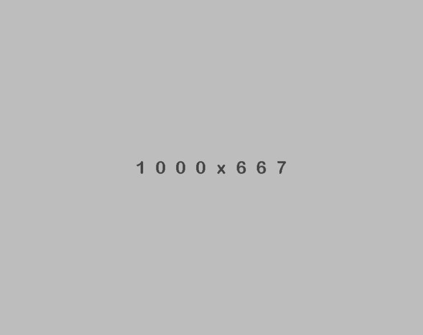 Coffeeshops continue to conquer | Faculty of Veterinary Medicine